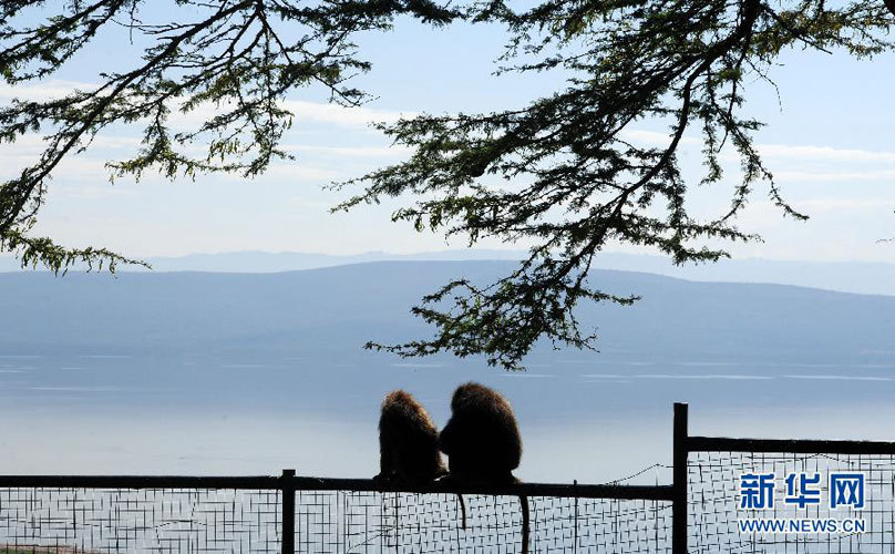 气候变化的全球影响 [图文26P] -6park.com