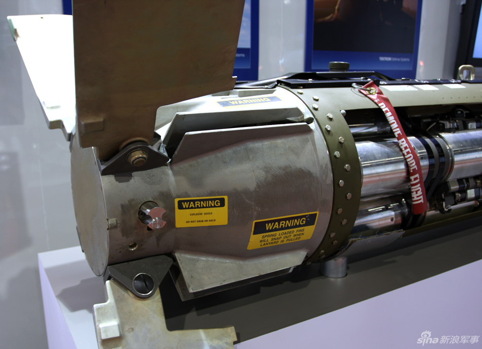 弹尾特写_新浪图集_新浪网