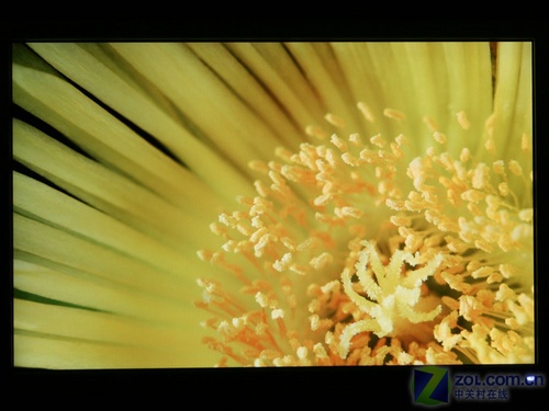 超完美19吋宽屏液晶 戴尔SE198WFP评测(4)_硬件_科技时代_新浪网