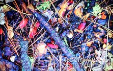 普及大屏!瀚视奇HG216D液晶显示器评测_硬件_科技时代_新浪网