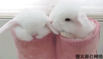 囧哥说事：地铁偷拍帅哥爽爆了_手机新浪网