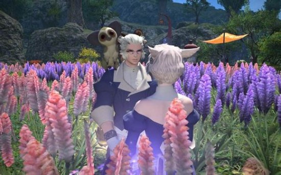 超甜蜜《FF14》情侣秀恩爱图_新浪游戏_手机新浪网