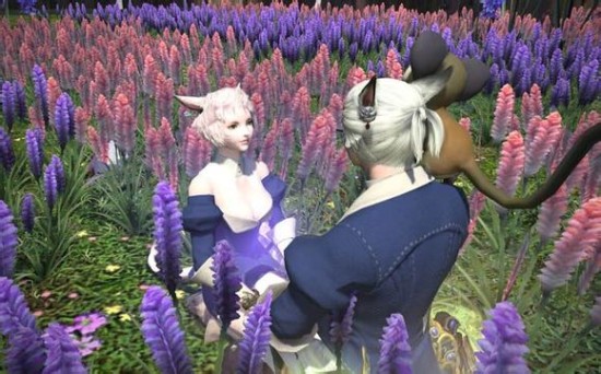 超甜蜜《FF14》情侣秀恩爱图_新浪游戏_手机新浪网