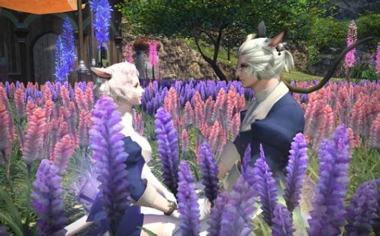 超甜蜜《FF14》情侣秀恩爱图_新浪游戏_手机新浪网